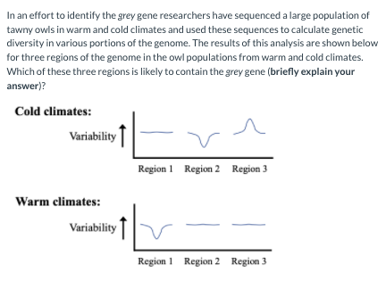 Solved In an effort to identify the grey gene researchers | Chegg.com
