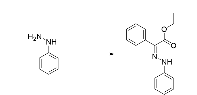 Solved H2N NH N. "NH | Chegg.com