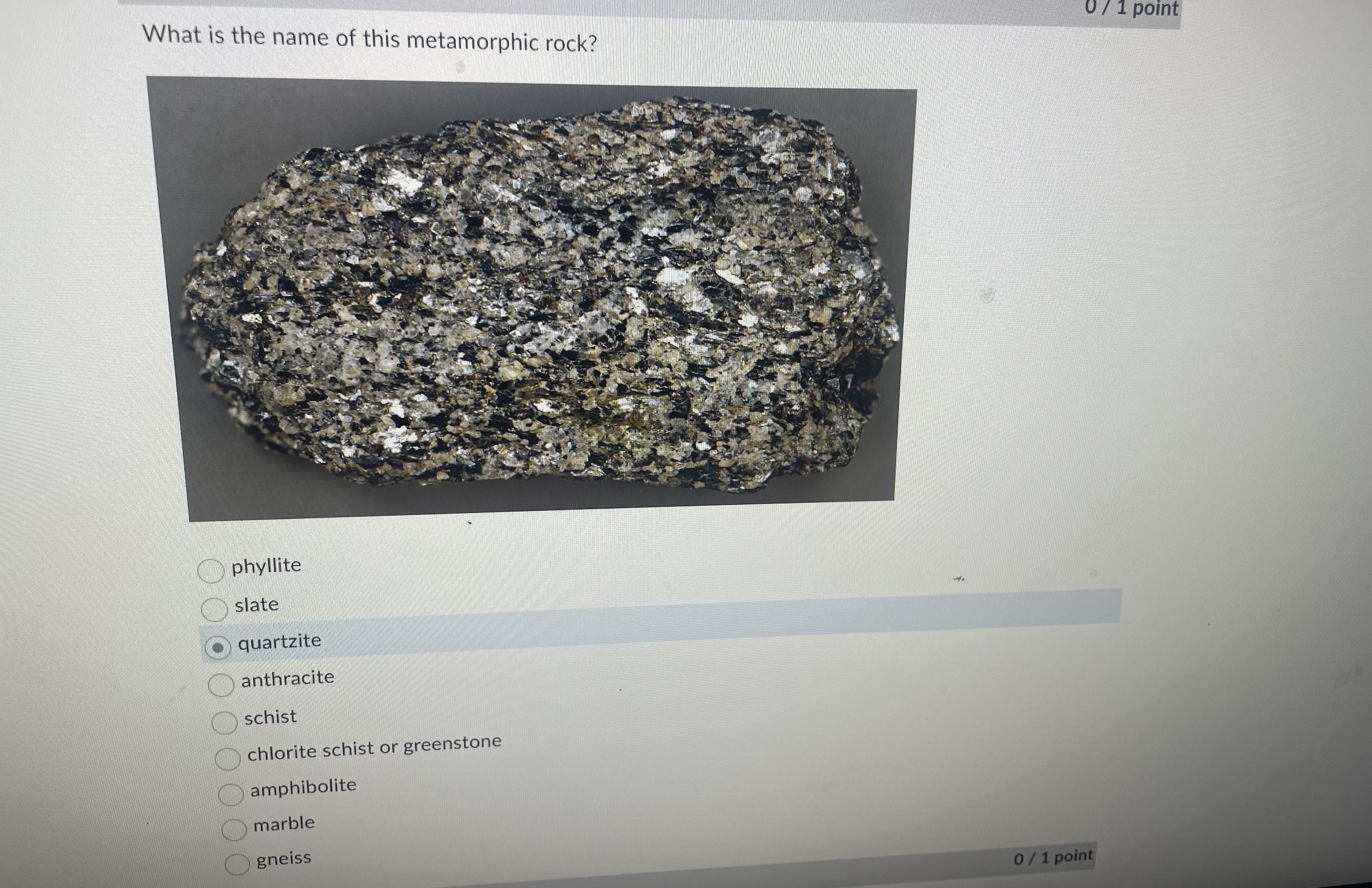 Solved What is the name of this metamorphic | Chegg.com