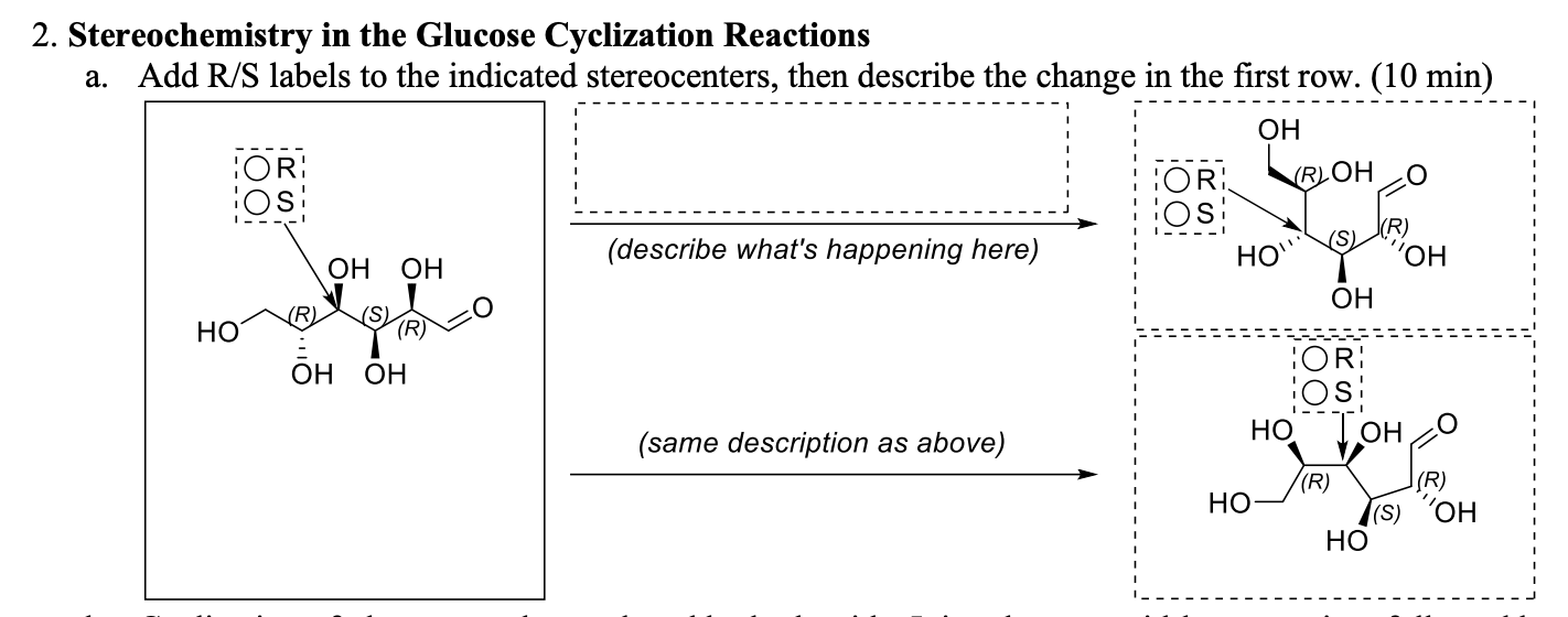 Solved 2. Stereochemistry in the Glucose Cyclization | Chegg.com
