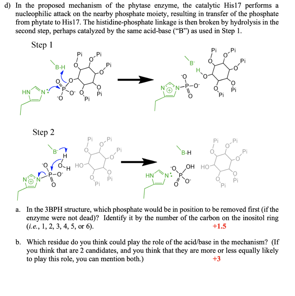 d) In the proposed mechanism of the phytase enzyme, | Chegg.com