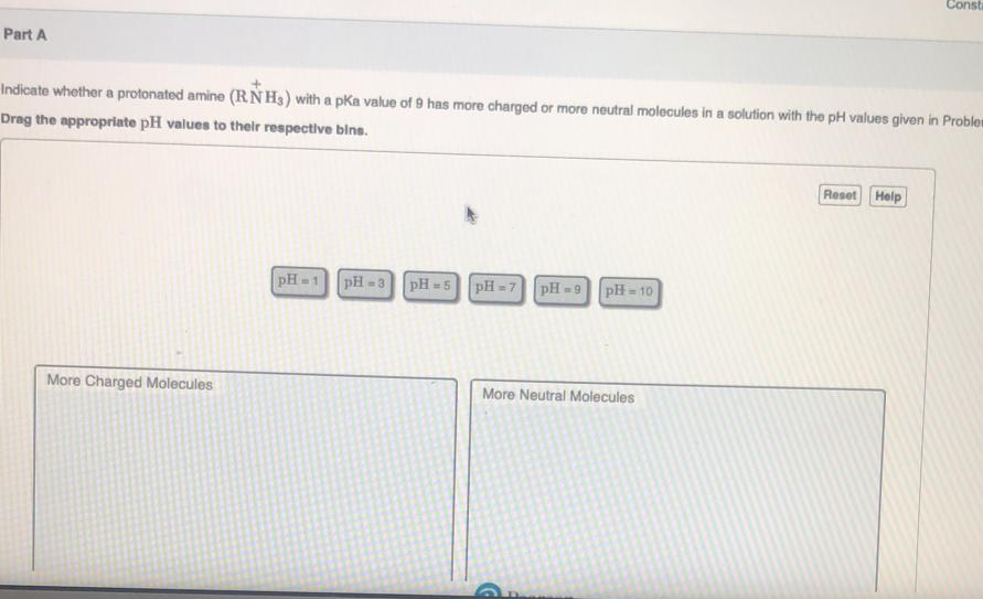 Solved Const Part A Indicate whether a protonated amine | Chegg.com