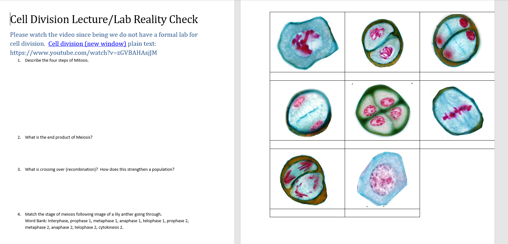 Solved Cell Division Lecture/Lab Reality Check Please watch | Chegg.com