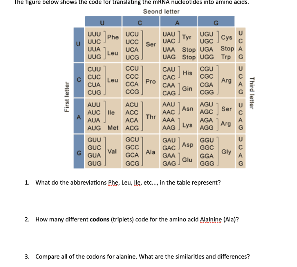 Solved The figure below shows the code for translating the | Chegg.com