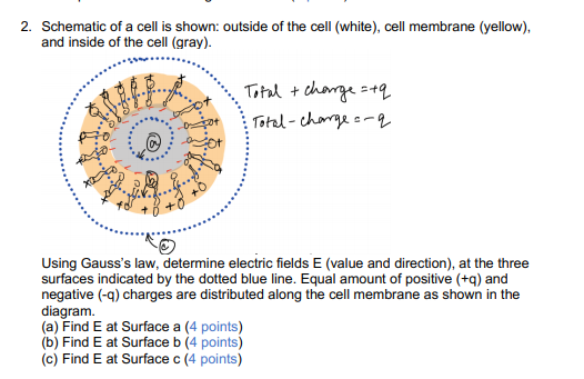 Solved 2. Schematic of a cell is shown: outside of the cell | Chegg.com