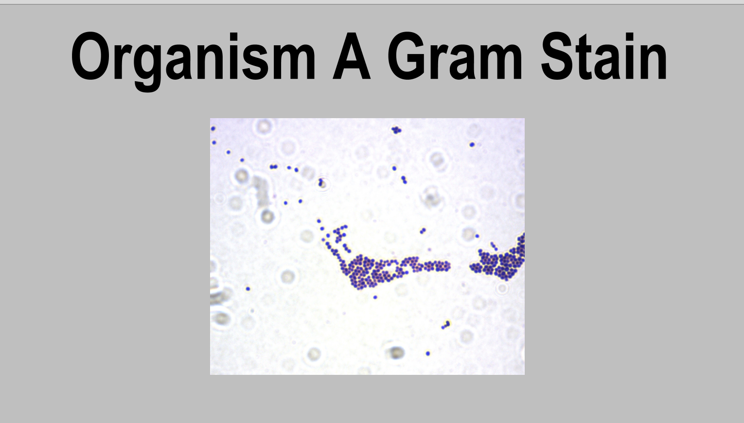 Solved There are two unknown organisms. Both organisms need | Chegg.com