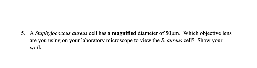 Solved A Staphylococcus aureus cell has a magnified diameter | Chegg.com