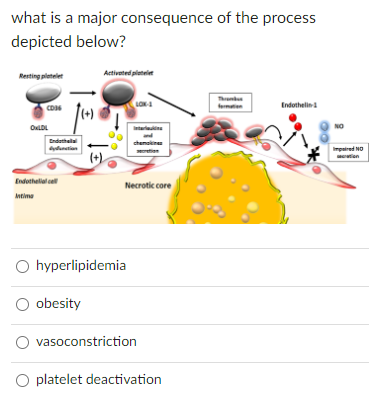 Solved what is a major consequence of the process depicted | Chegg.com