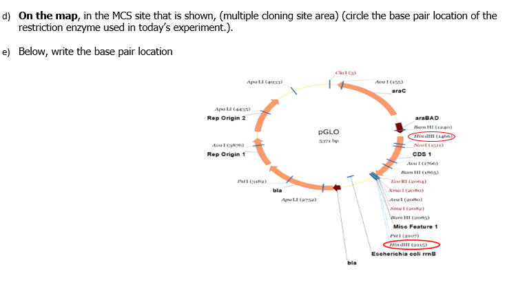 Solved d) On the map, in the MCS site that is shown, | Chegg.com