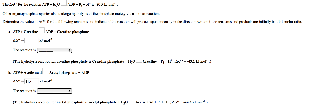 Solved The ΔG°' for the reaction ATP + H2O ADP + Pi + H+ is | Chegg.com