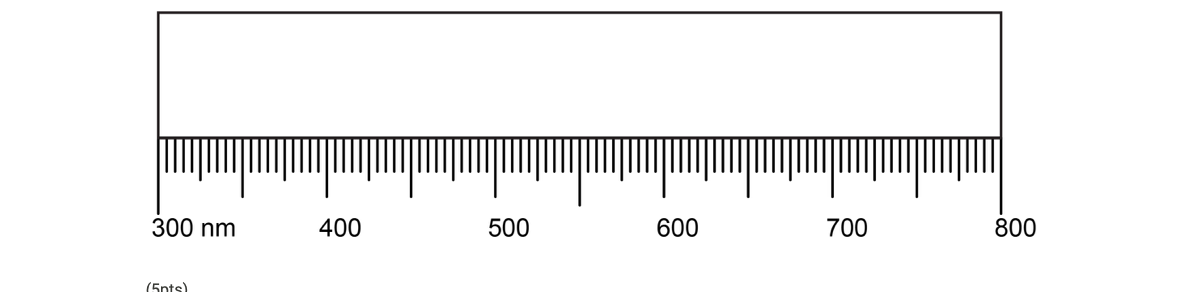 Solved 300 nm 400 500 600 700 800 (5nts) | Chegg.com