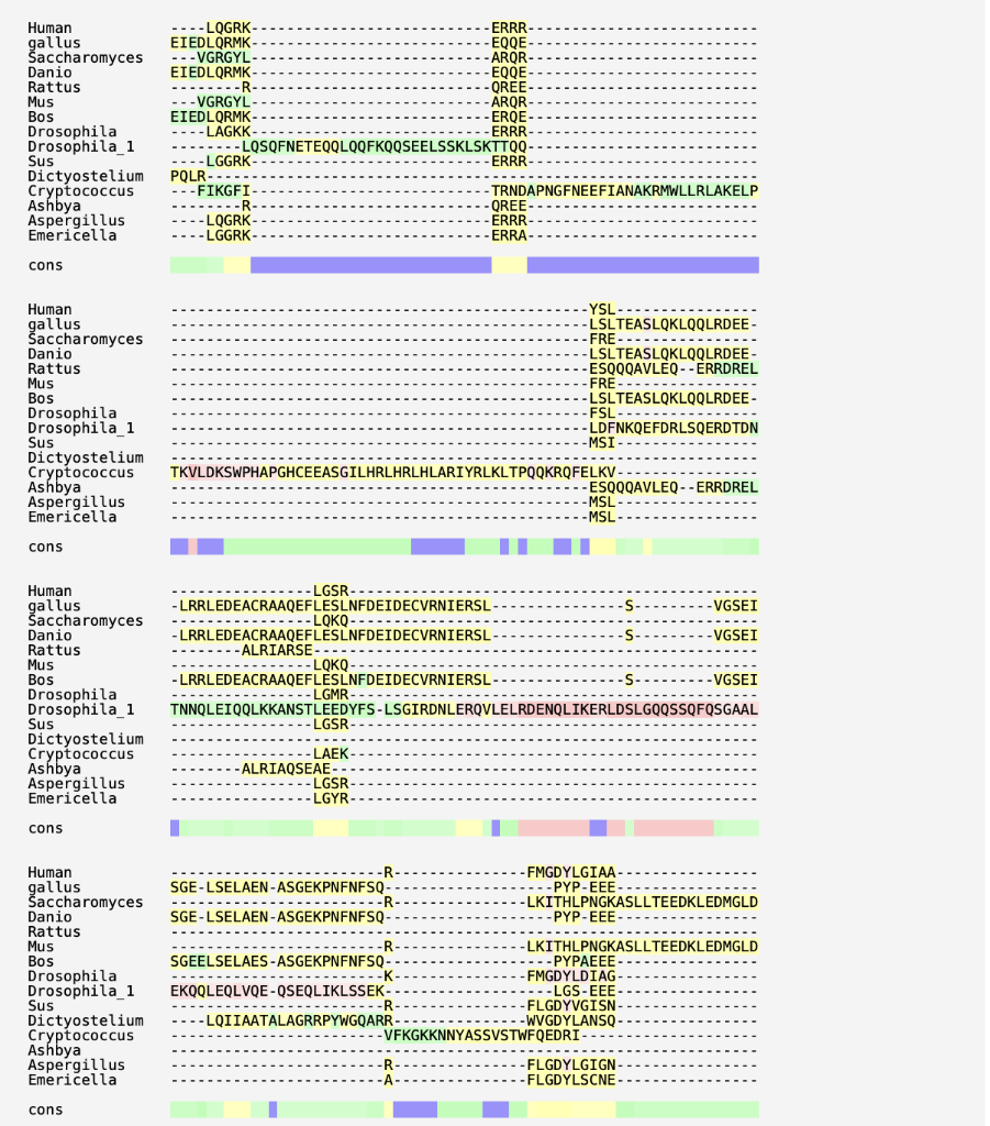 Solved MSA The multiple sequence alignment result as | Chegg.com