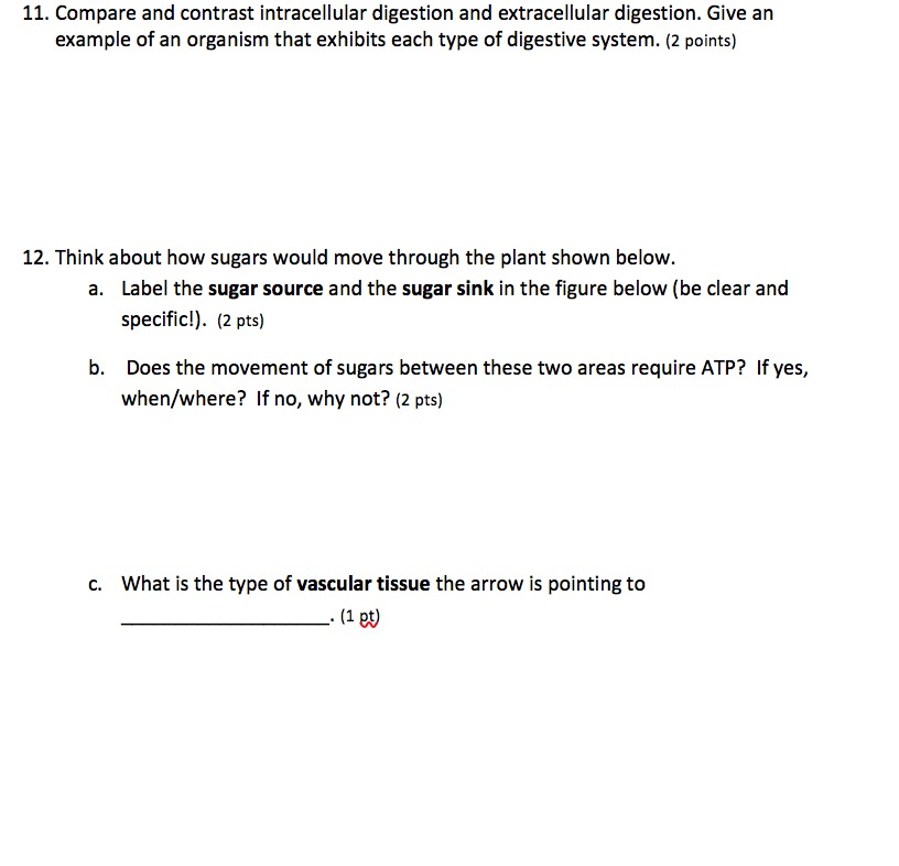 Solved Activity 1 Bacterial Transformation Experiment