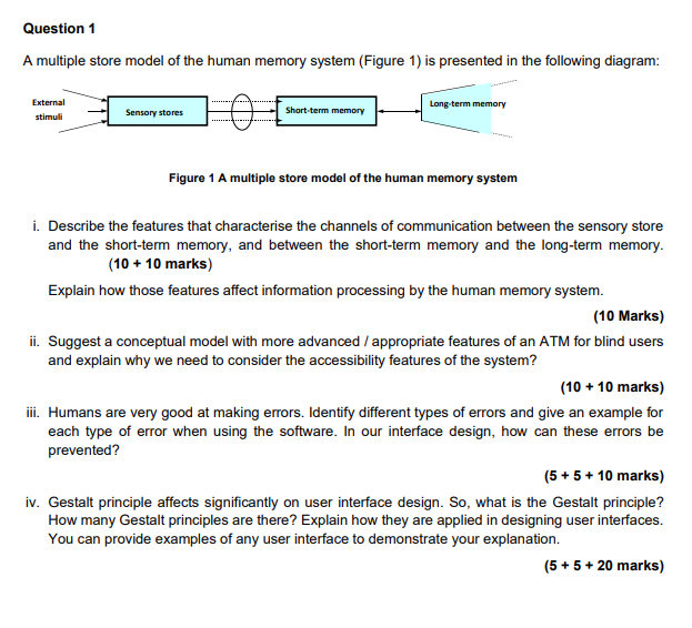 Solved A multiple store model of the human memory system | Chegg.com
