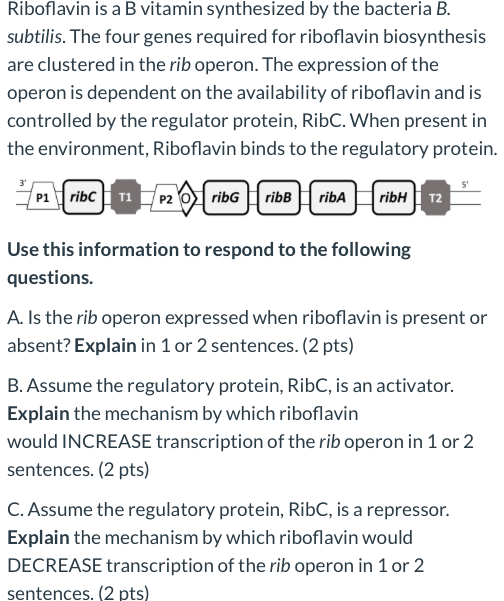 Solved Riboflavin is a B vitamin synthesized by the bacteria | Chegg.com