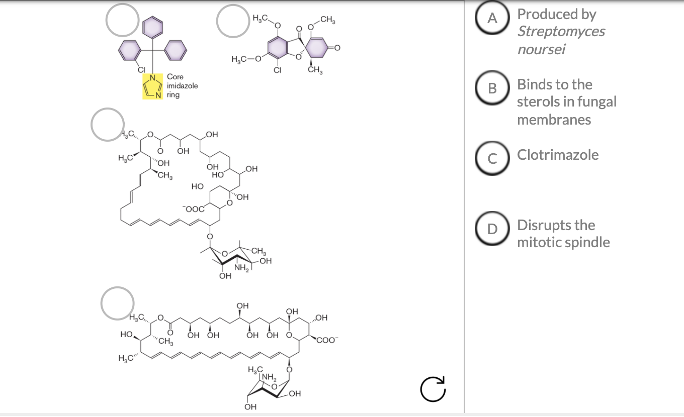 Solved O HC CH co A Produced by Streptomyces noursei O HC-0 | Chegg.com