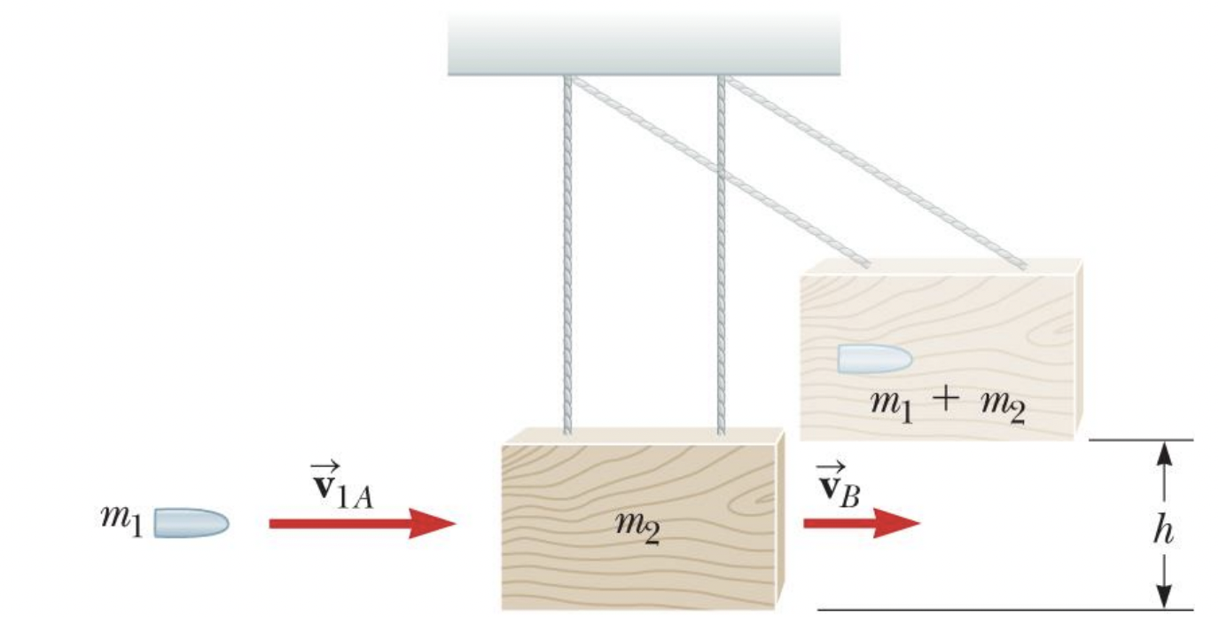Solved The ballistic pendulum an apparatus used to measure | Chegg.com