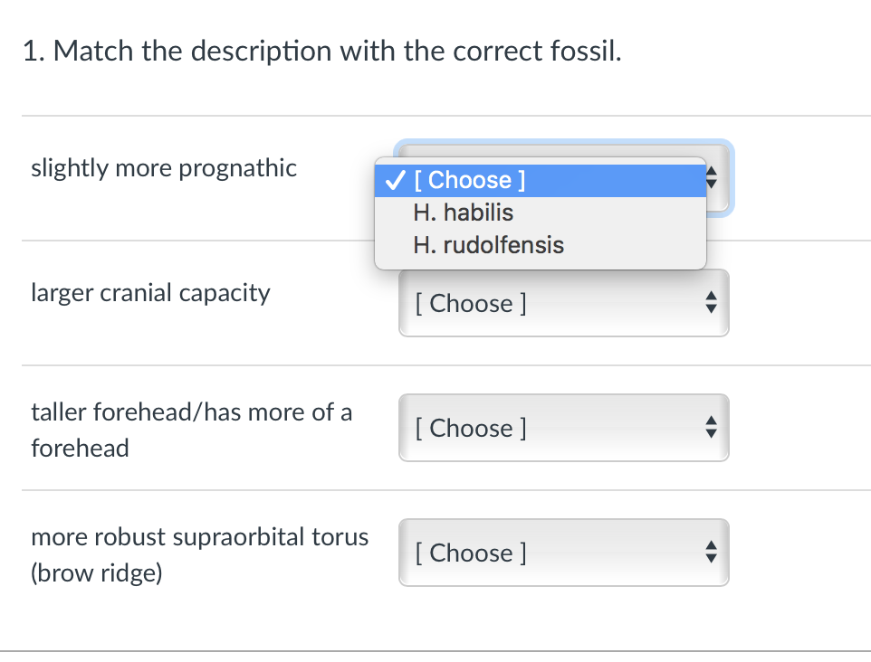 Solved 1. Match the description with the correct fossil. | Chegg.com