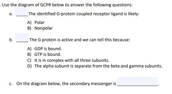 Solved - Use the diagram of GCPR below to answer the | Chegg.com