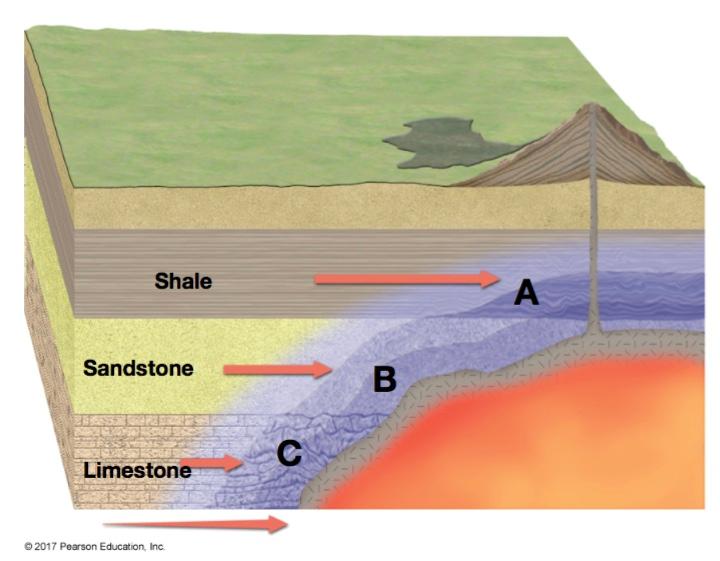 Solved 1. List AND define the two textures a metamorphic | Chegg.com