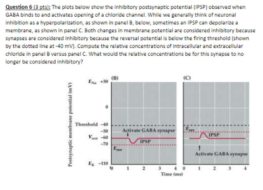 Solved Question 6 ( 3 pts): The plots below show the | Chegg.com
