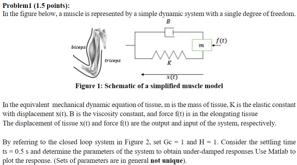 Problem1 (1.5 points): In the figure below, a muscle | Chegg.com