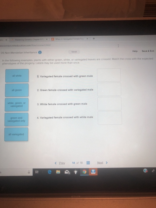 Solved Saved Help Save&Exit 05 Non-Mendelian Inheritance in | Chegg.com