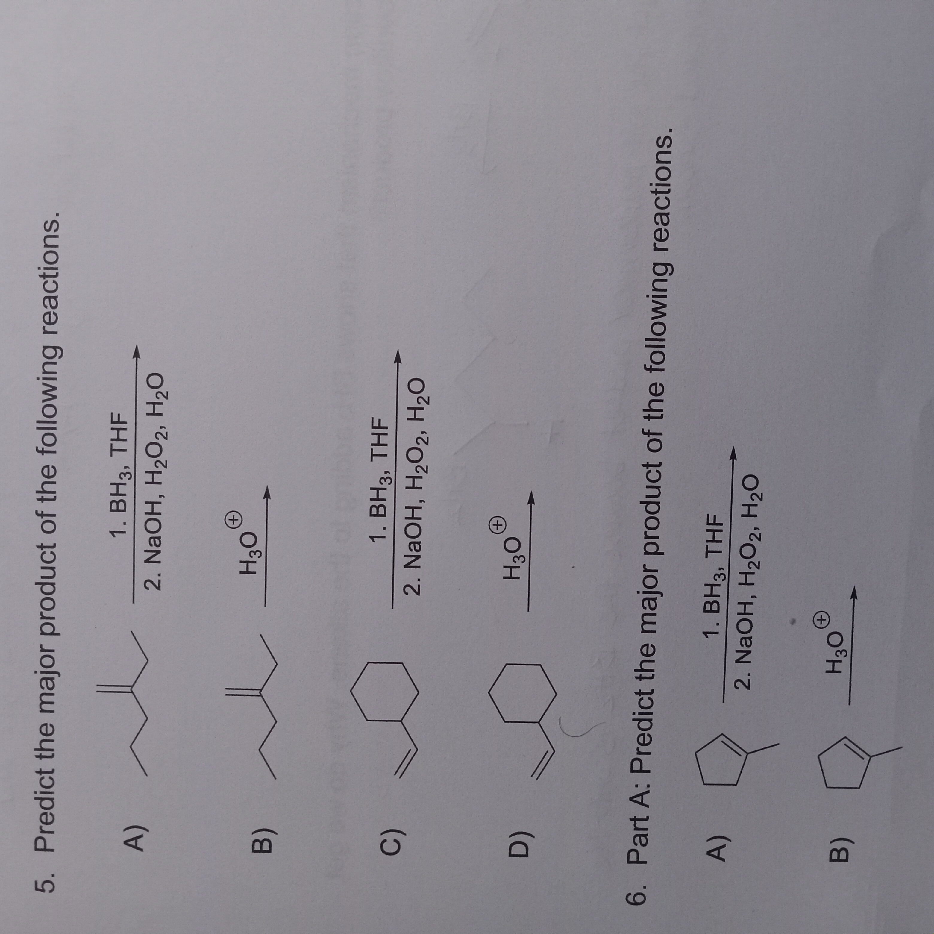 Solved 5. Predict the major product of the following | Chegg.com