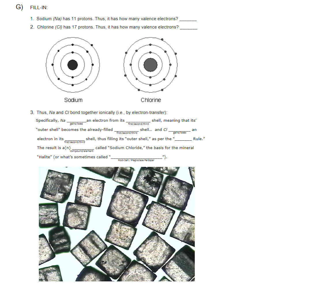 Solved G) FILL-IN 1. Sodium (Na) has 11 protons. Thus, it | Chegg.com