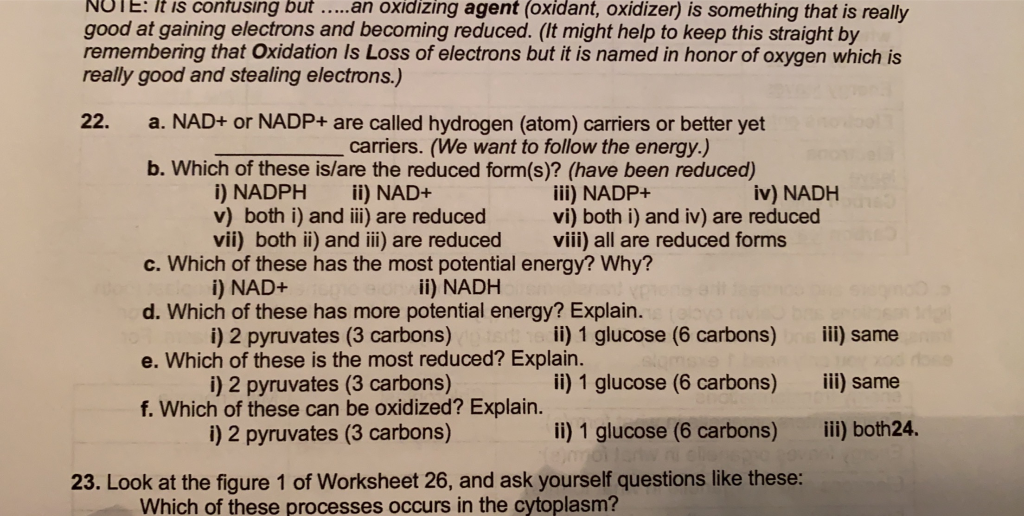 Solved NUTE: It is contusing but .....an oxidizing agent | Chegg.com
