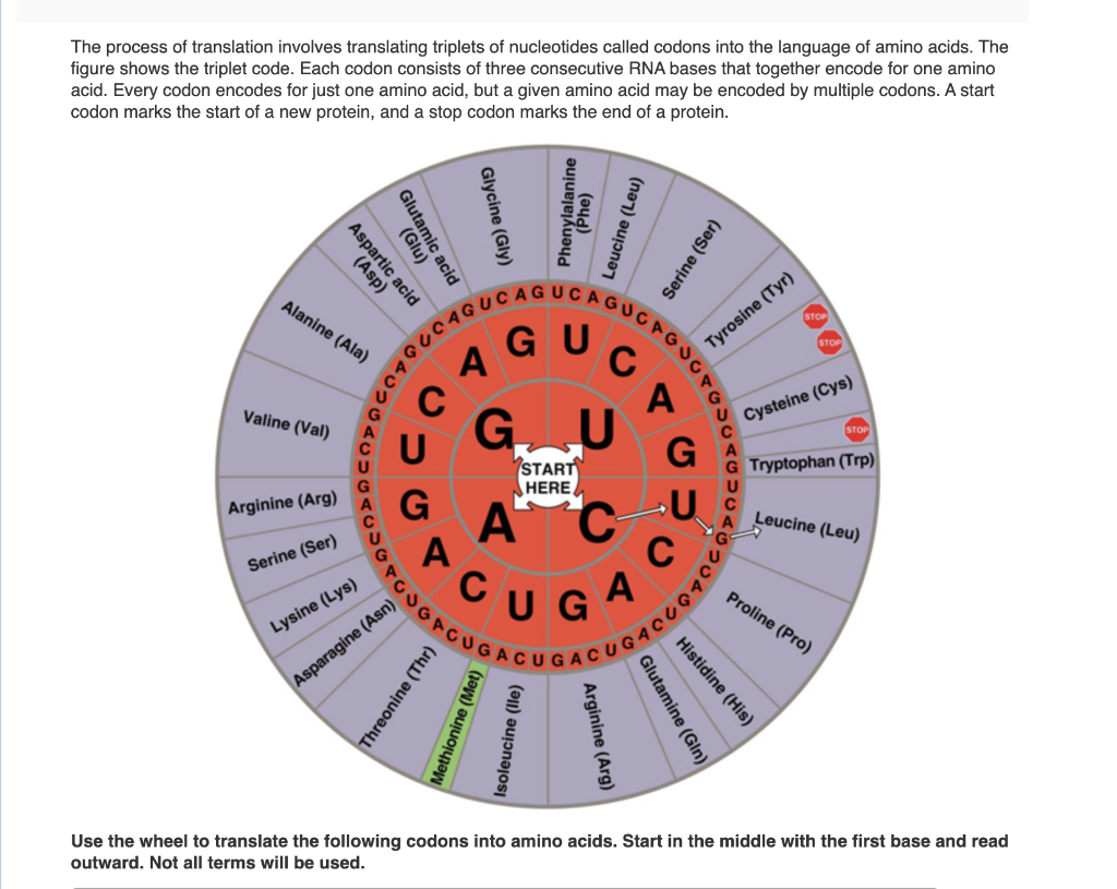 Solved GUCPODOPOSUCO 5040 2040SOLO, The process of | Chegg.com