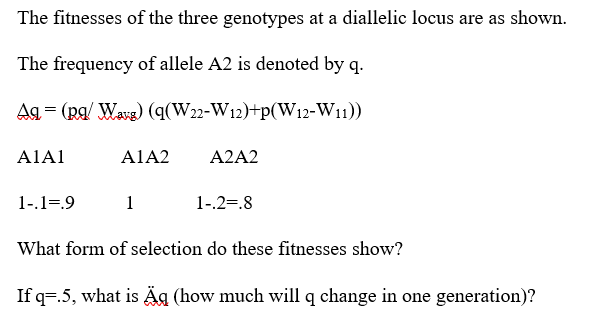 Solved The fitnesses of the three genotypes at a diallelic | Chegg.com