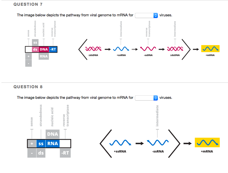 Solved QUESTION 5 Which of the following describes the | Chegg.com