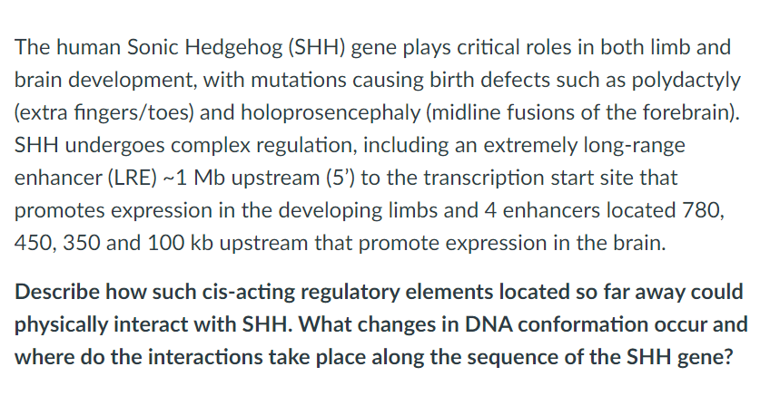 Solved The human Sonic Hedgehog (SHH) gene plays critical | Chegg.com
