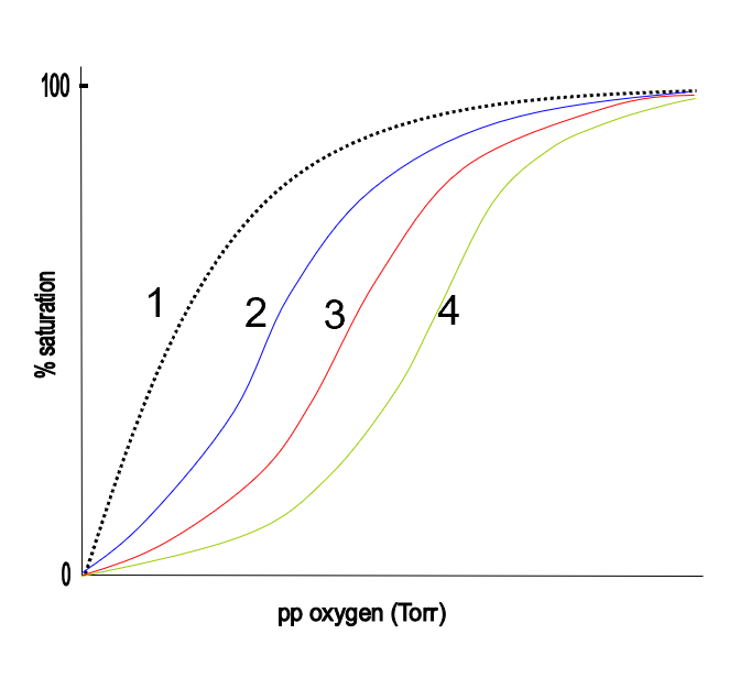 Solved Which of the curves below show cooperative binding? | Chegg.com