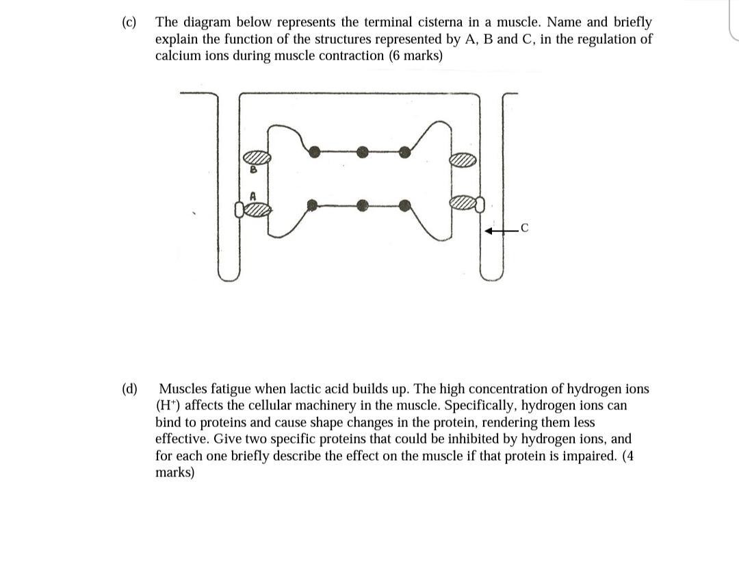 Solved (c) The diagram below represents the terminal | Chegg.com