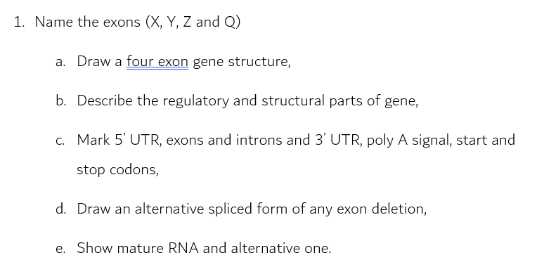 Solved 1. Name the exons (X, Y, Z and Q) a. Draw a four exon | Chegg.com