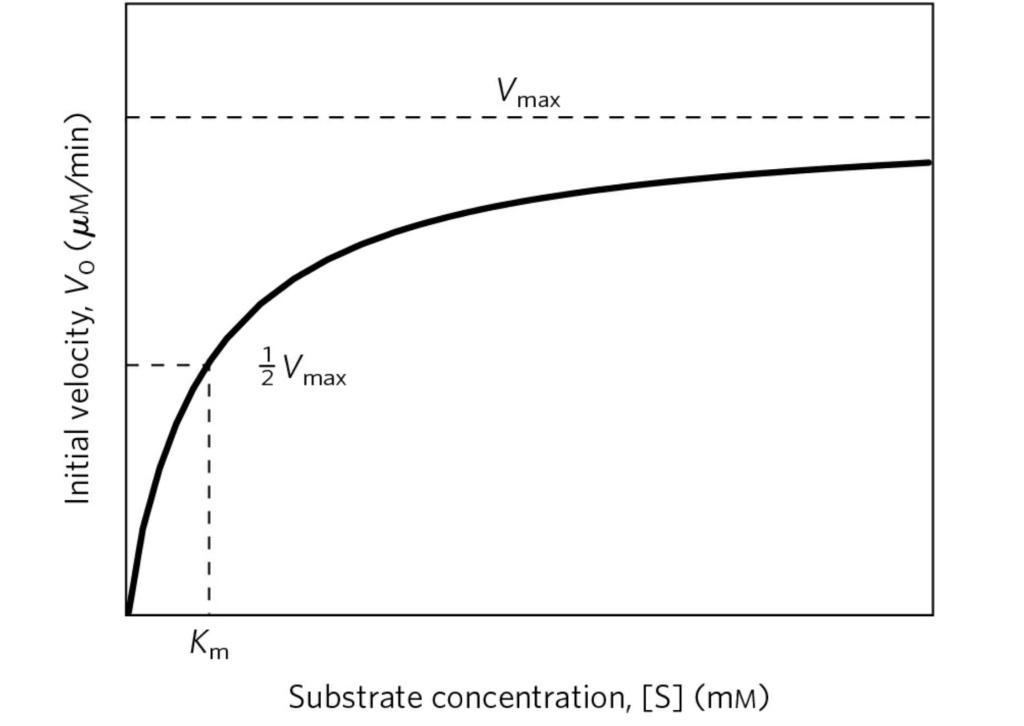 Solved 1.0 Y 0.5 0 P50 10 (b) 5 pO2 (kPa) Vmax - Initial | Chegg.com