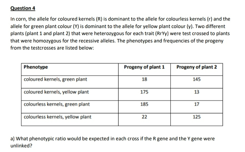 Solved Question 4 In corn, the allele for coloured kernels | Chegg.com