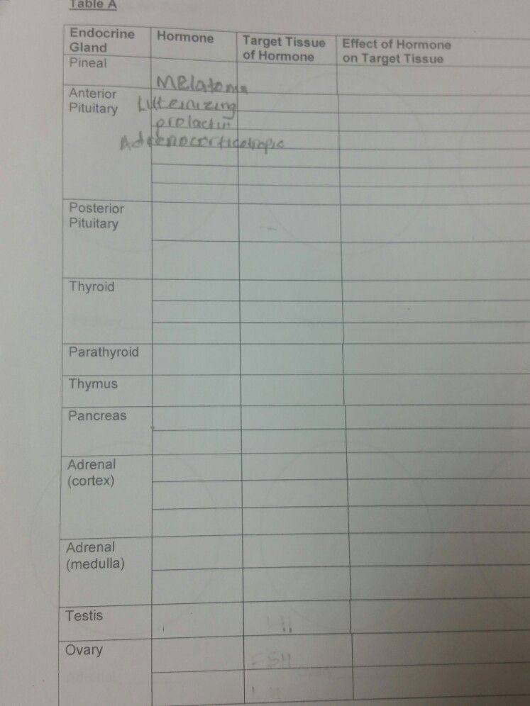 Solved complete table A, given the endocrine tissue complete | Chegg.com
