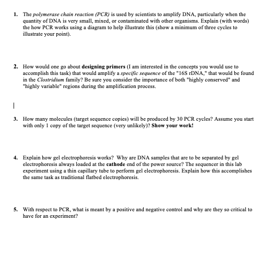 Solved 1. The polymerase chain reaction (PCR) is used by | Chegg.com