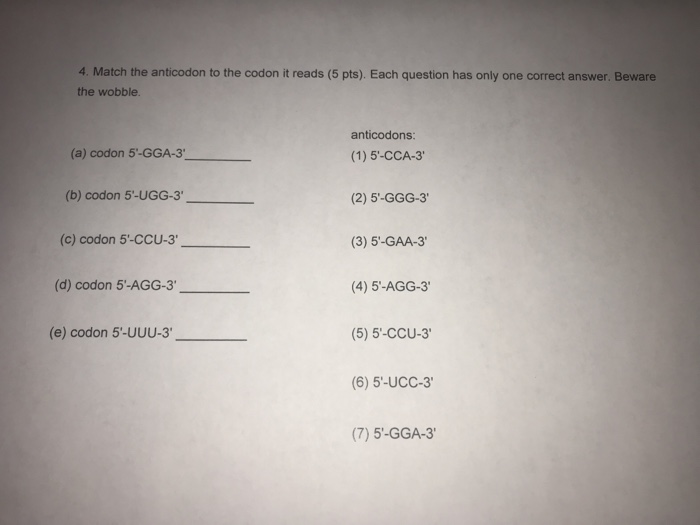 Solved 4. Match the anticodon to the codon it reads (5 pts). | Chegg.com