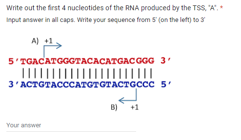 Solved Write out the first 4 ﻿nucleotides of the RNA | Chegg.com