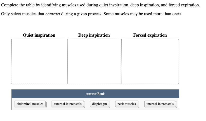 Solved Complete the table by identifying muscles used during | Chegg.com