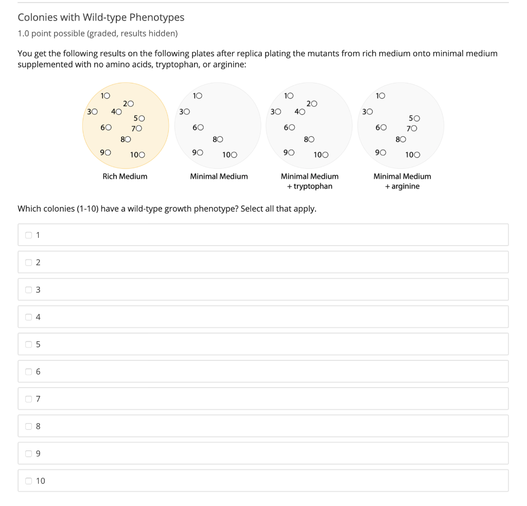 Solved Colonies with Wild-type Phenotypes 1.0 point possible | Chegg.com