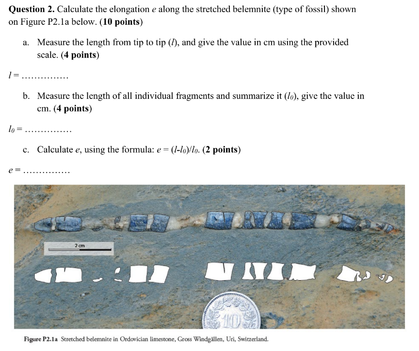 Solved Question 2. ﻿Calculate the elongation e10 ﻿pointsl | Chegg.com