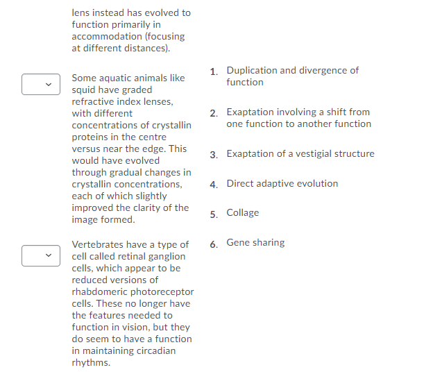 Solved Question 7 (1 point) For each example below relating | Chegg.com