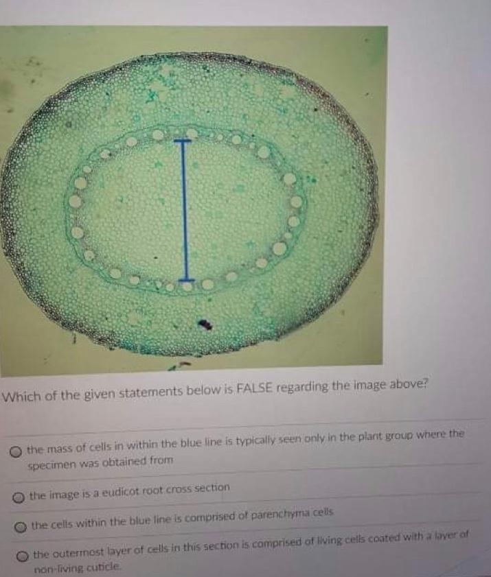 Solved In modified roots adapted for starch storage, which | Chegg.com