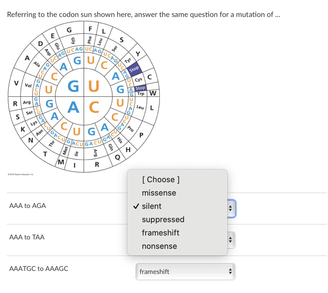 Solved Referring to the codon sun shown here, answer the | Chegg.com