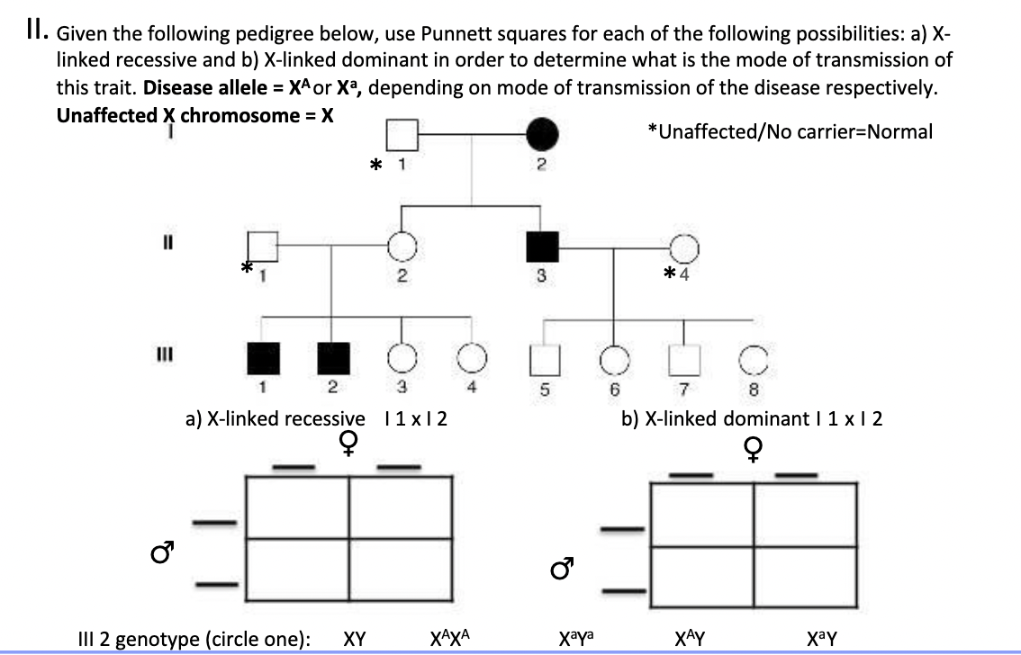 Solved 1. Given the following pedigree below, use Punnett | Chegg.com